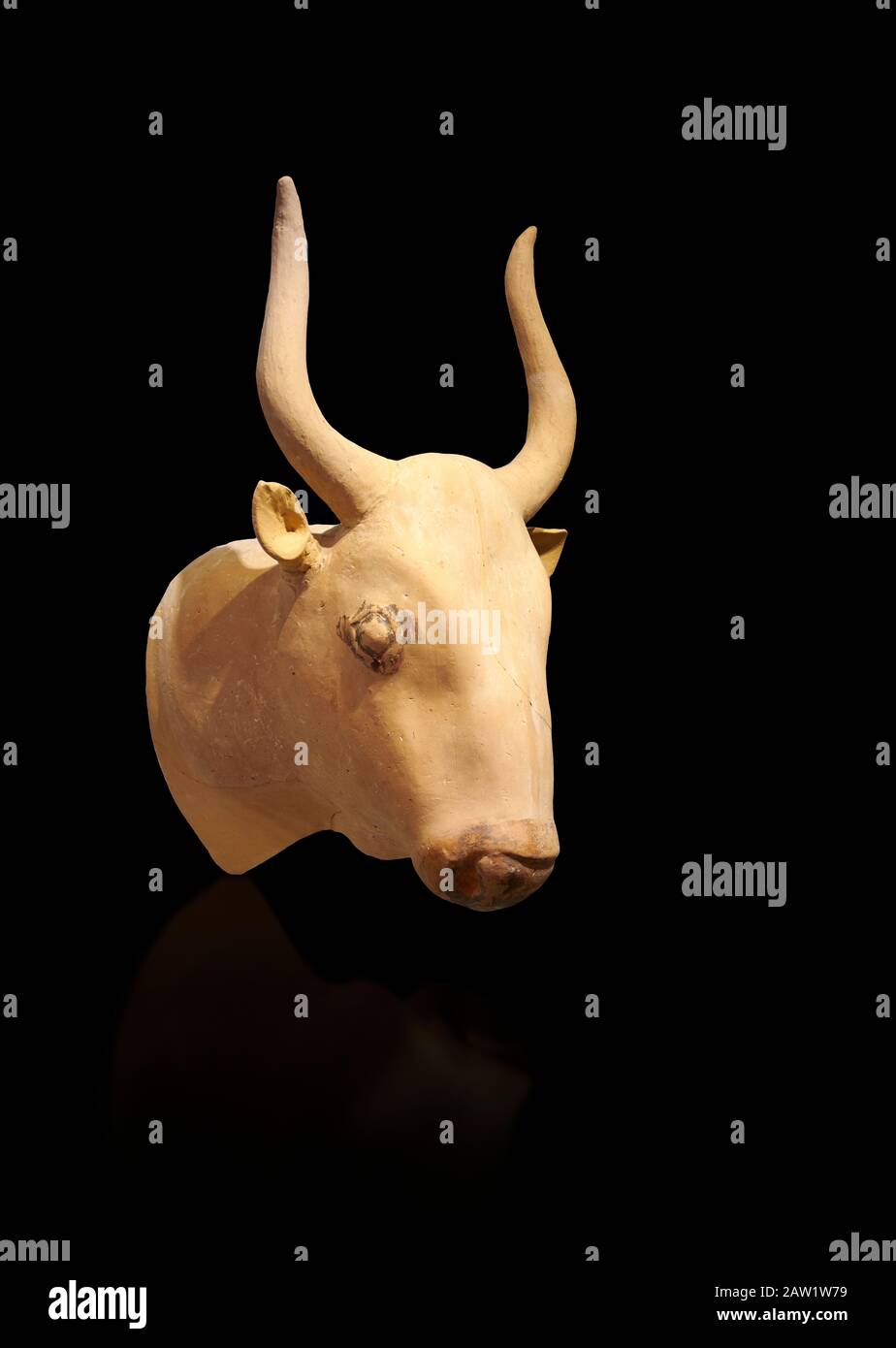 Minoan bull's head rhython libation vessel, Phaistos palace 1700-1600 ...