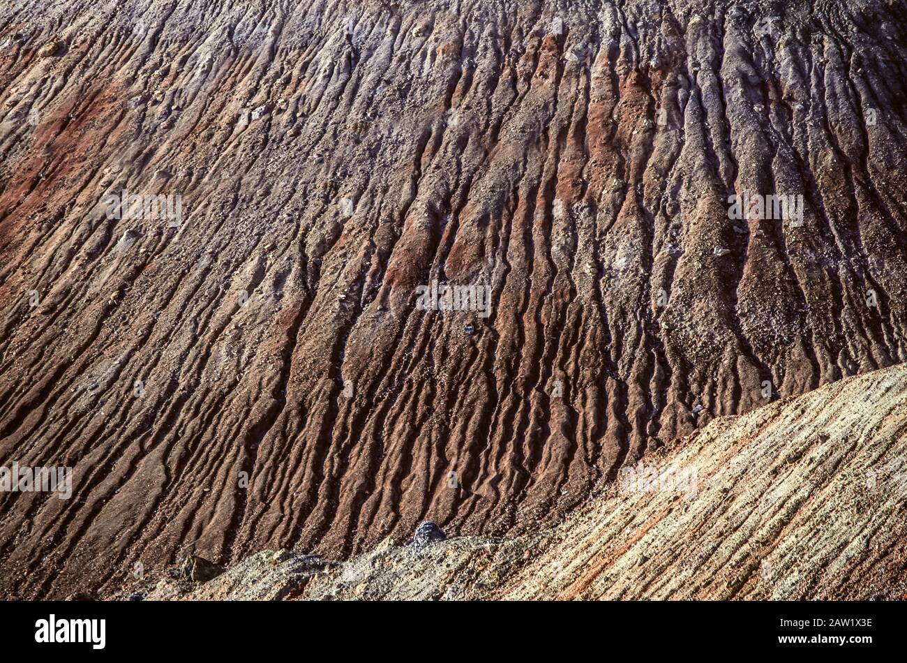 Background texture from a mottled slope of a hill, moving from the wind ...
