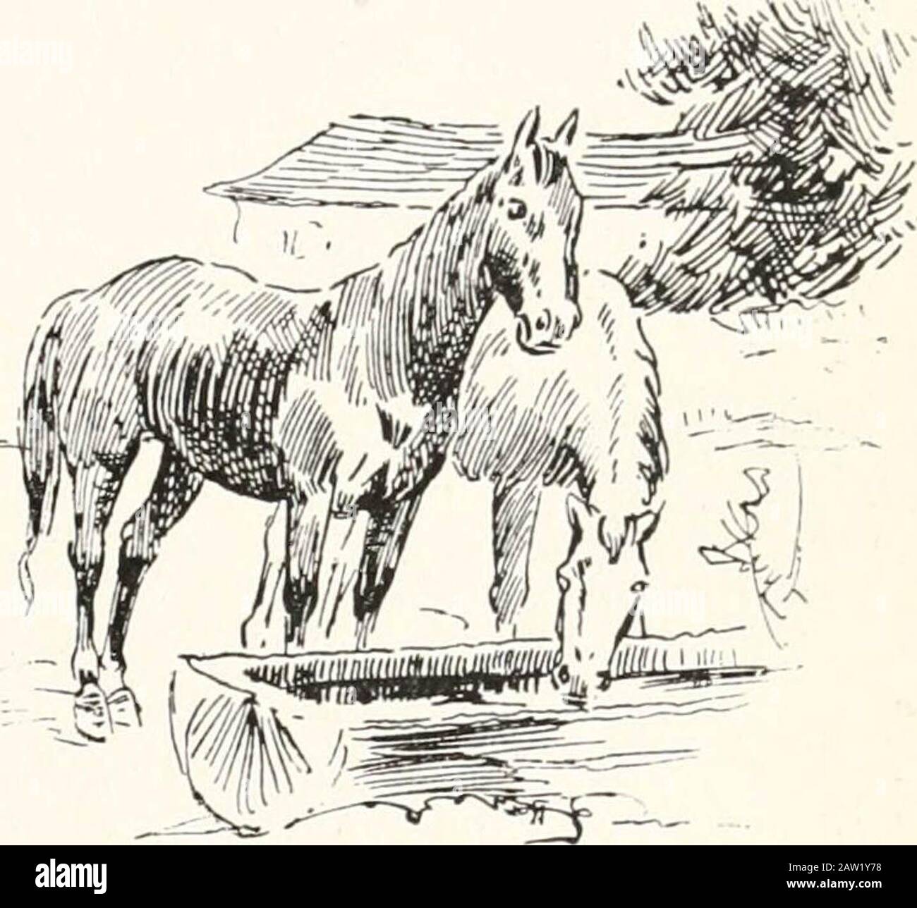 Little helpers hi-res stock photography and images - Alamy