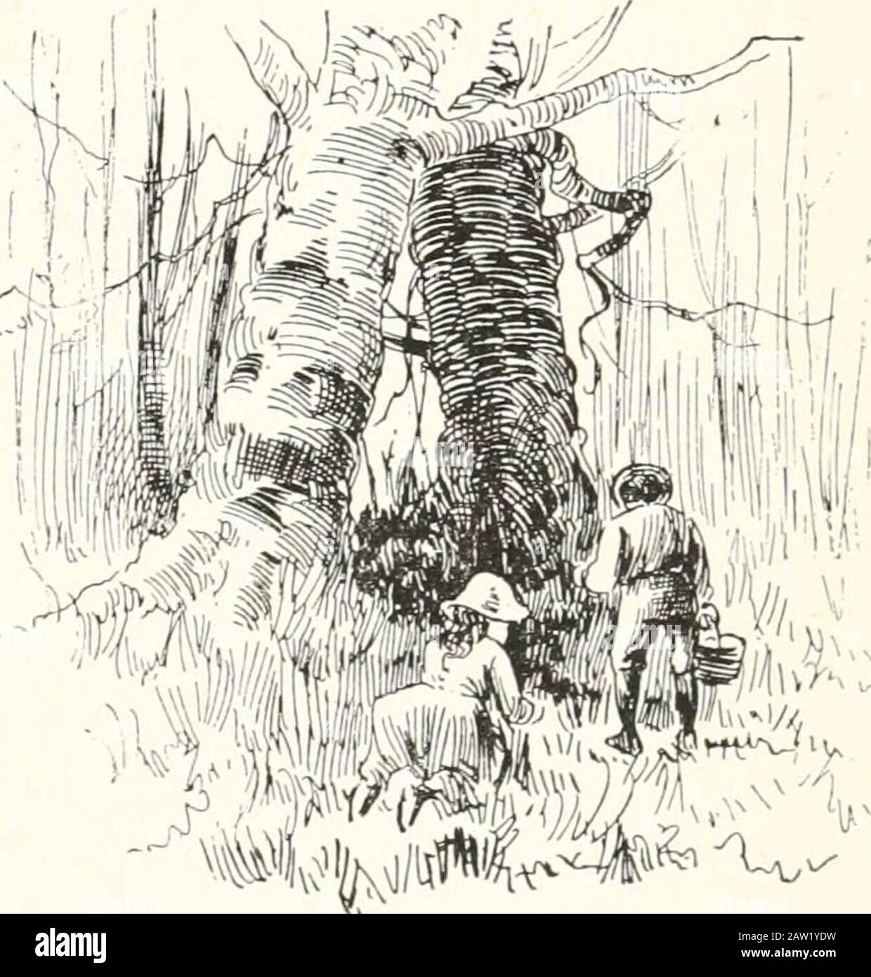 "Little helpers" (1889 Stock Photo - Alamy