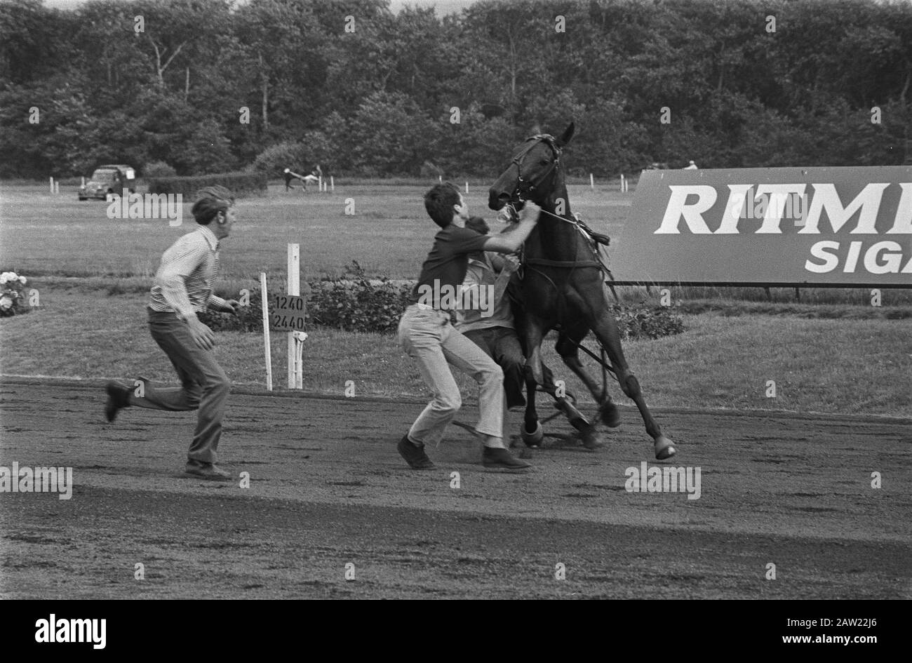 Wagon and horses hi-res stock photography and images - Alamy