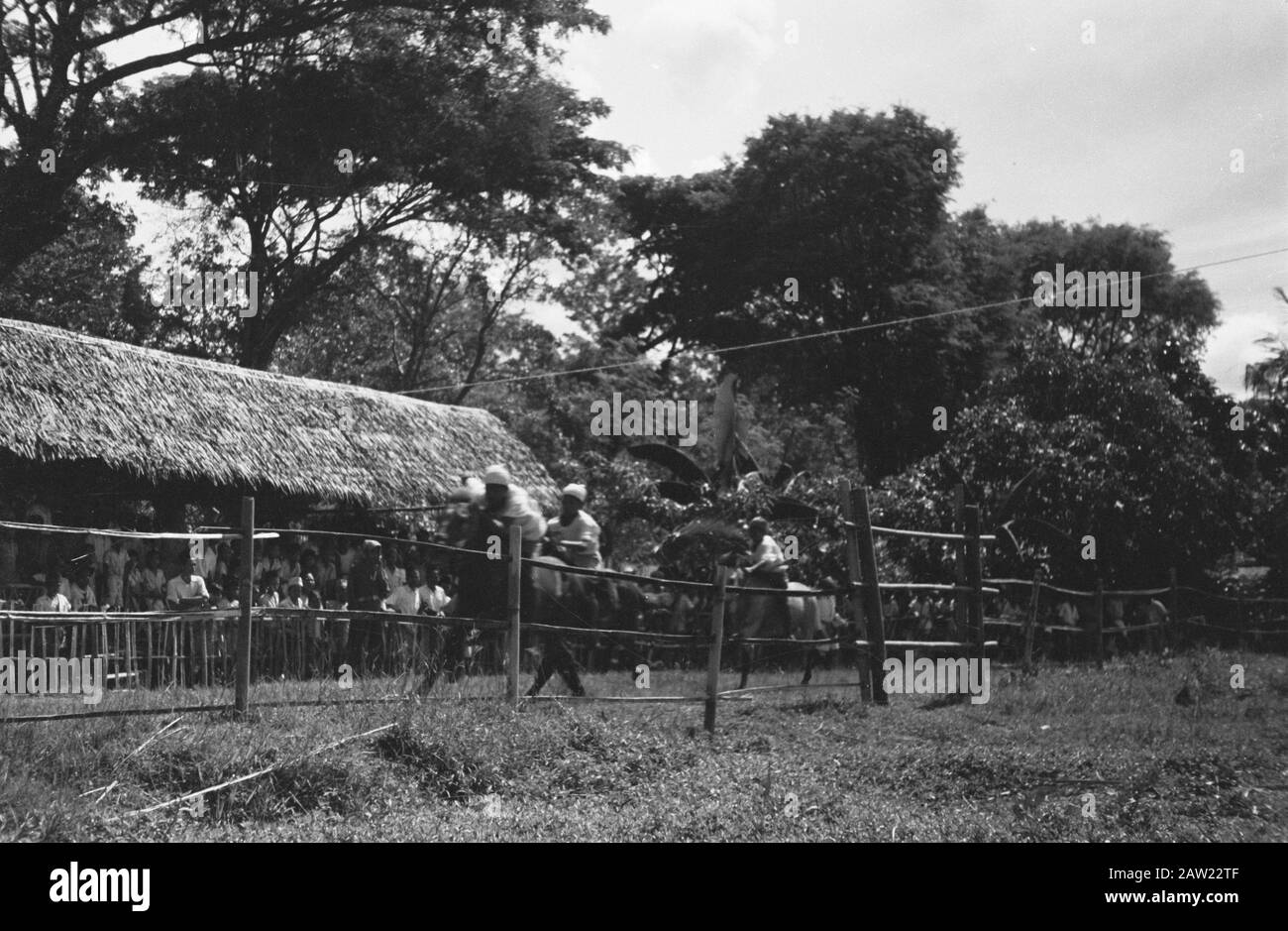Pare-Pare (Sulawesi) Horse Racing Date: December 10, 1948 Location ...