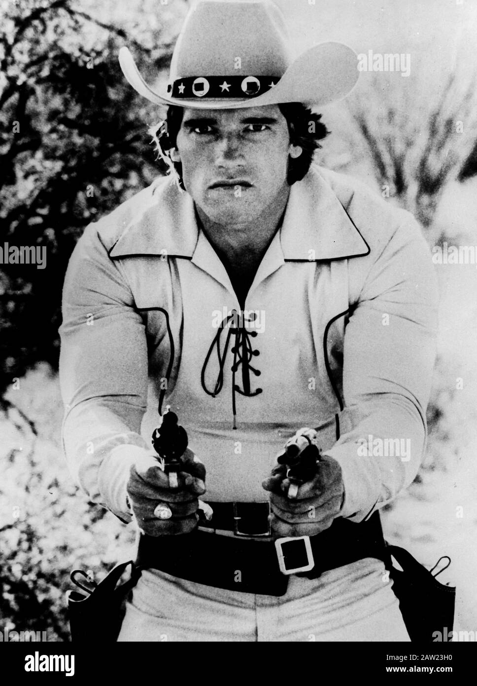 The Villain Movie 1979
