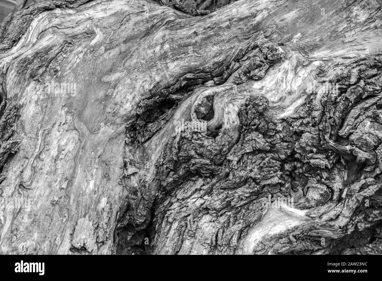 Natural wood wall smooth Black and White Stock Photos & Images - Alamy