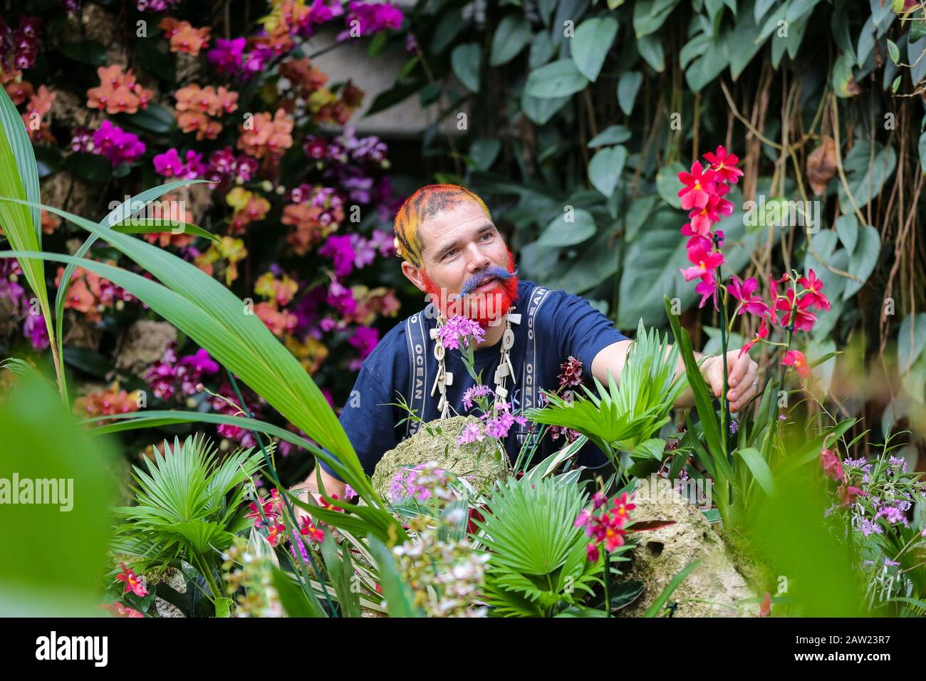 Kew Gardens, London, UK 6 Feb 2020 - Florist and Kew volunteer Henck ...