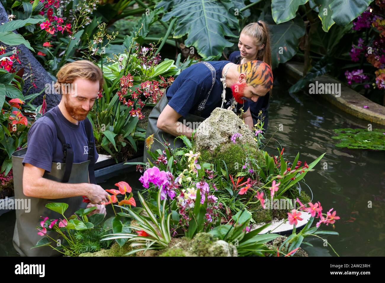 Royal theme diploma hi-res stock photography and images - Alamy