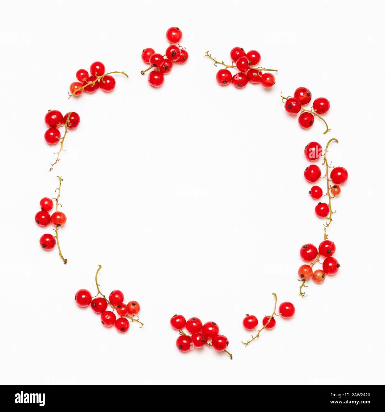 Fruit frame made from red currant berry on a white backgroundwith copy ...