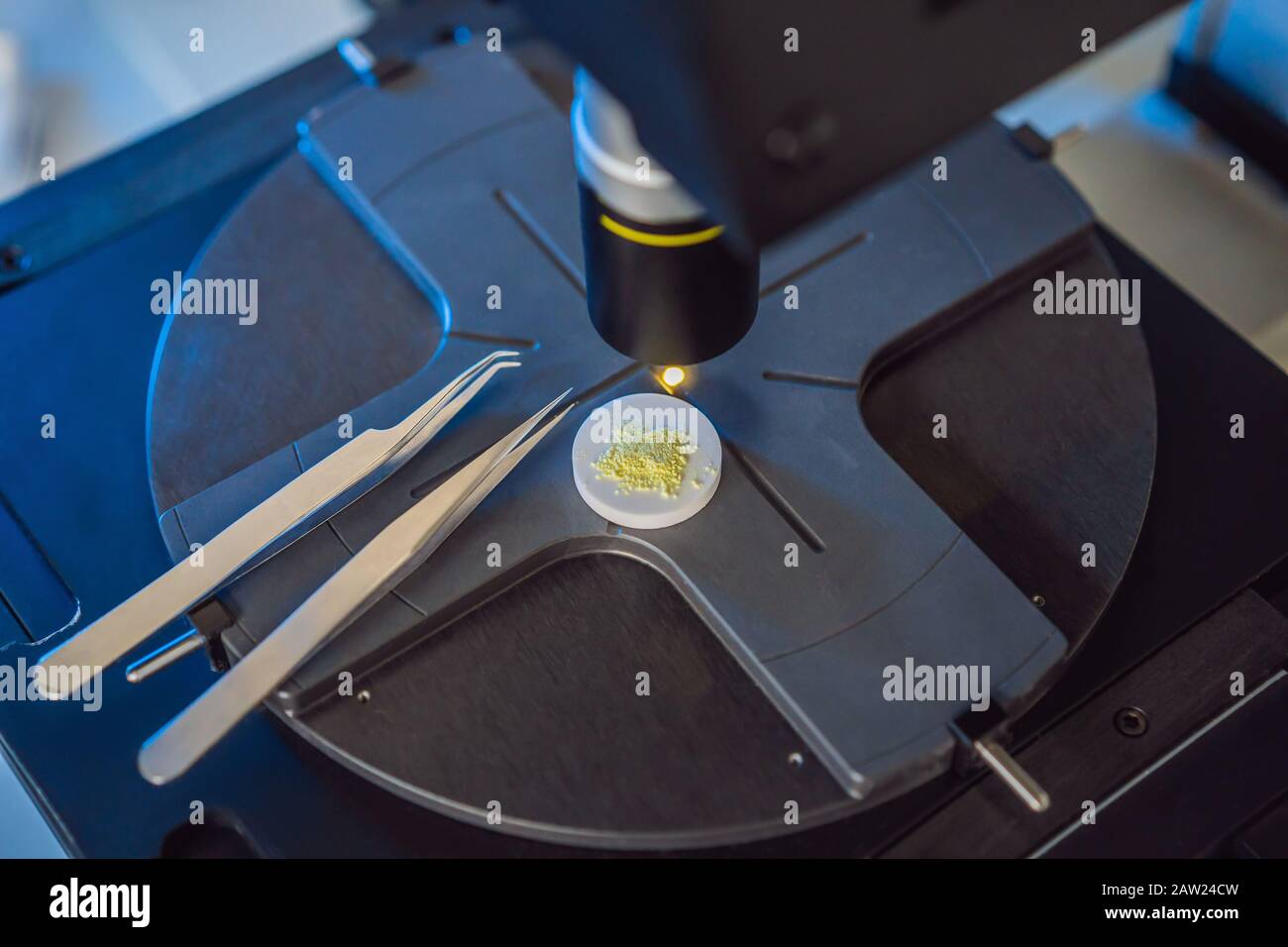 Science lab research safe of new drugs, microscope and pills ...