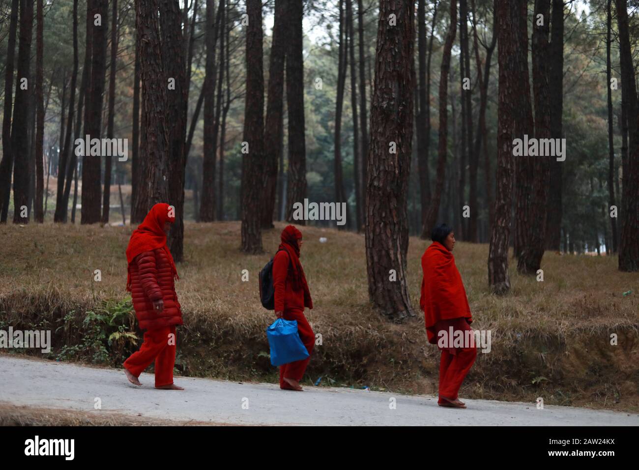 Swasthani hi-res stock photography and images - Alamy