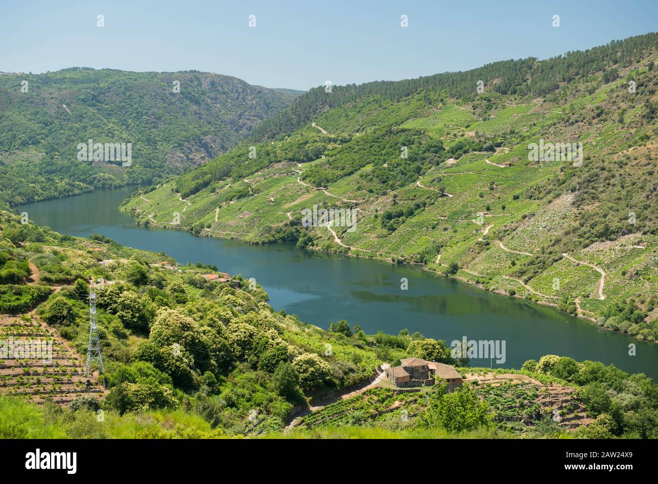 Ribeira sacra vineyard hi-res stock photography and images - Alamy