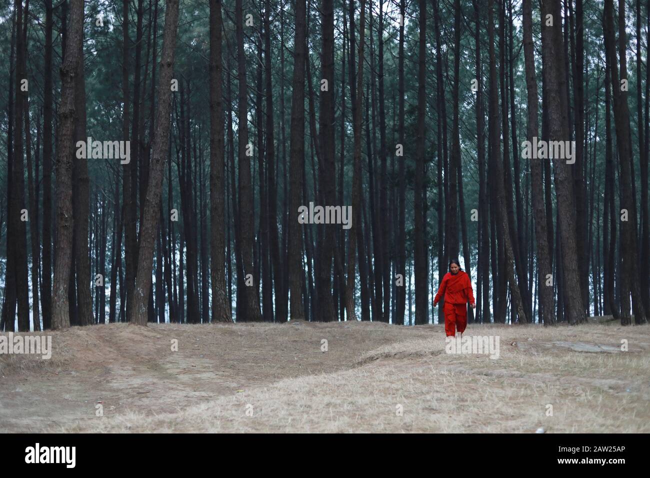 Swasthani hi-res stock photography and images - Alamy