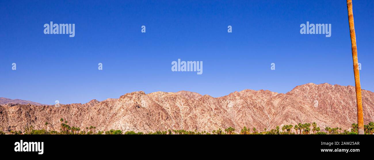 San Jacinto mountain and coconut trees in Palm Springs, California, usa ...