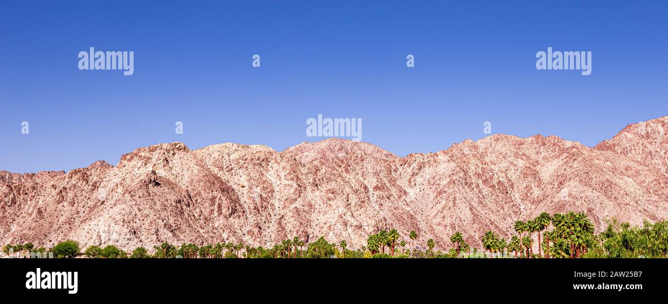 San Jacinto mountain and coconut trees in Palm Springs, California, usa ...