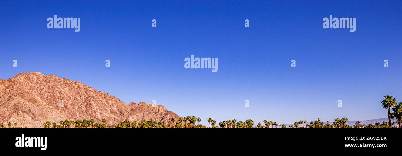 San Jacinto mountain and coconut trees in Palm Springs, California, usa ...