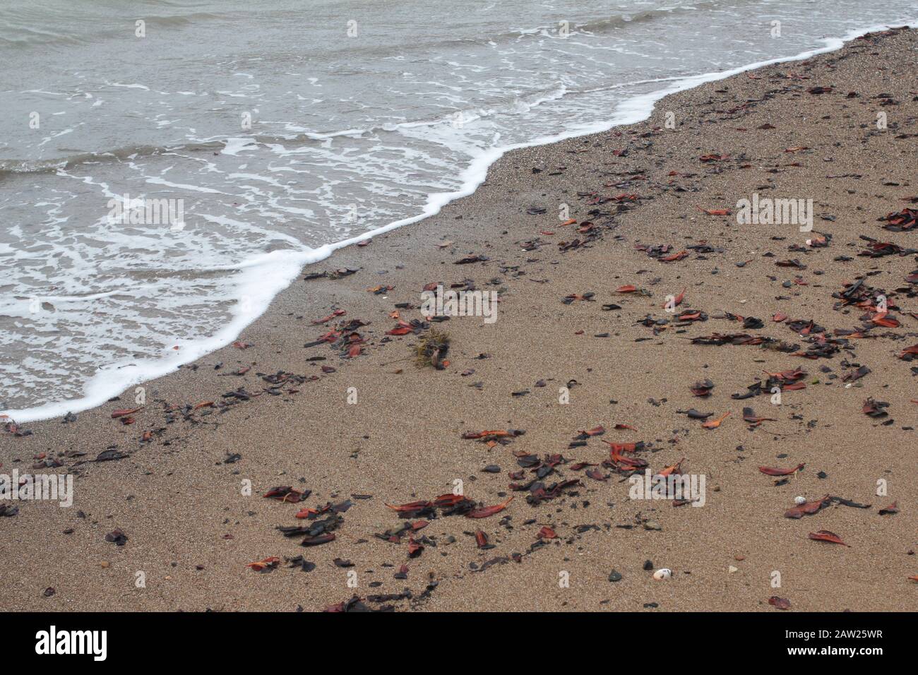 Tannum Sands, Queensland Stock Photo - Alamy