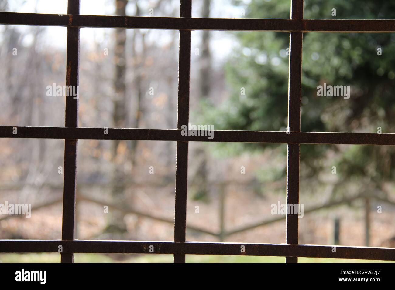 Ancient grate of a prison or castle, which looks outside in the winter ...