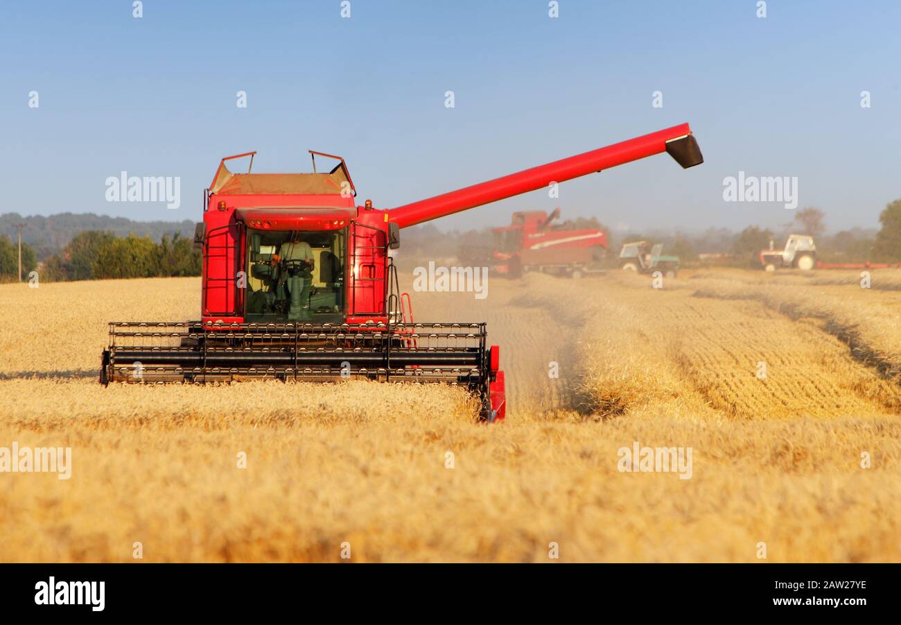 Harvester machine on wheat field Stock Photo - Alamy