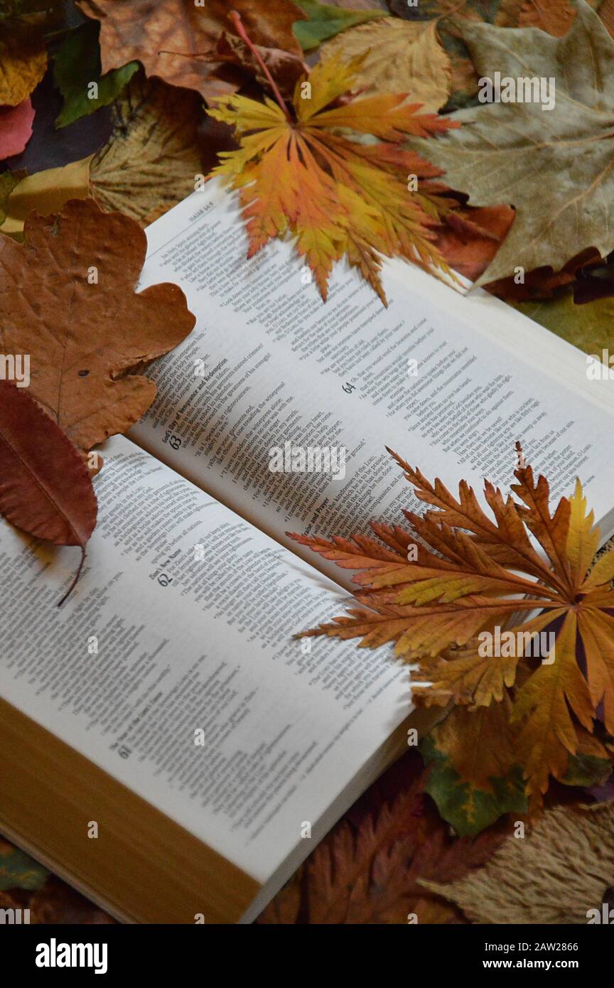 bible open at Isaiah 64 between colorful autumn leaves foliage Stock ...