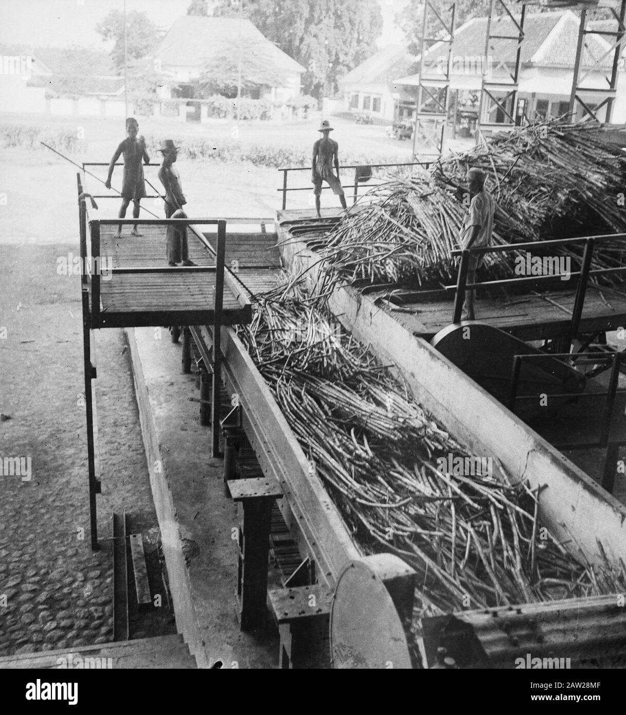 Police cane hi-res stock photography and images - Alamy