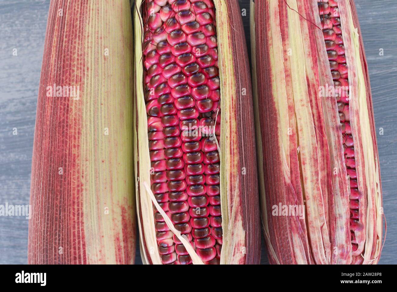 Flint corn hi-res stock photography and images - Alamy