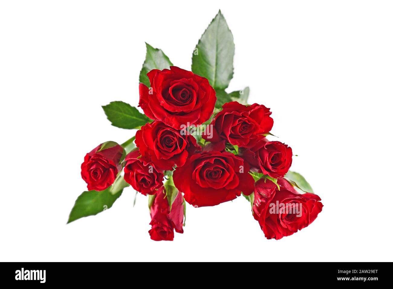 Bouquet of red rose flowers on white background Stock Photo - Alamy