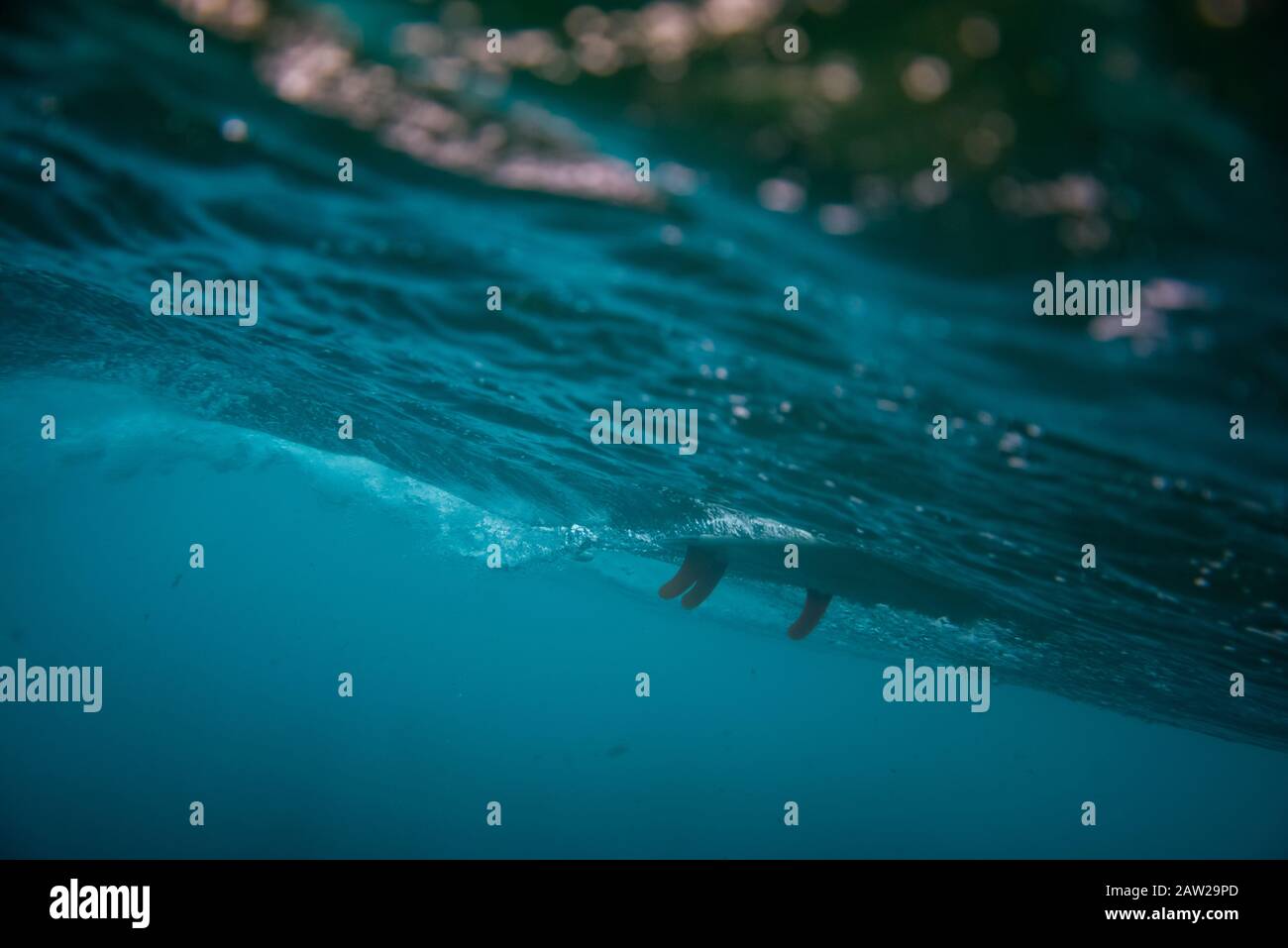 Barrel wave underwater with surfboard. Ocean in underwater Stock Photo ...