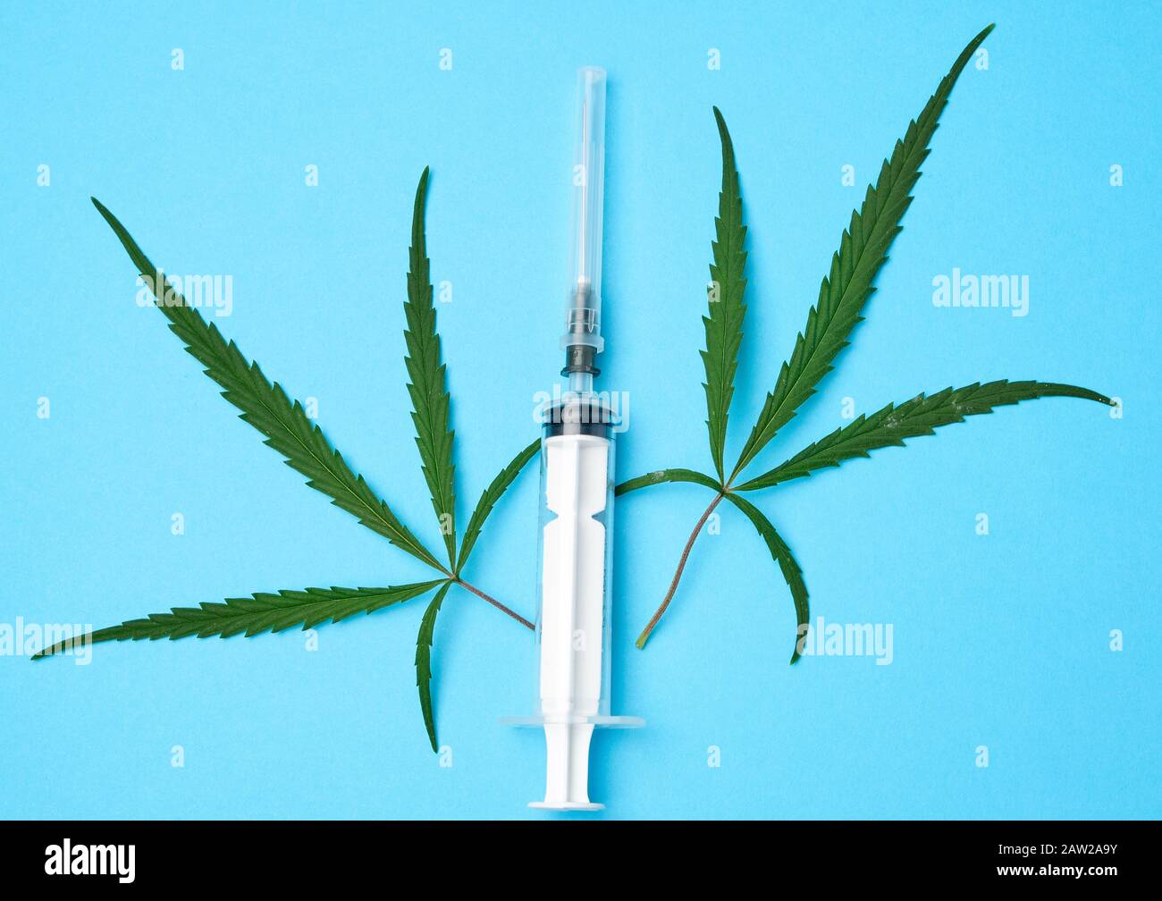 plastic syringe with a needle and green leaves of hemp on a blue ...