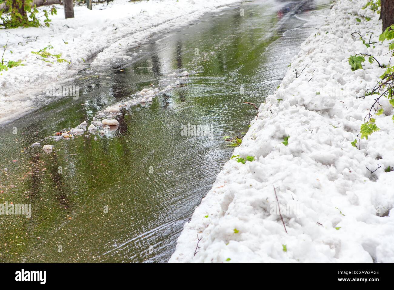 melting snow on the asphalt road Stock Photo - Alamy