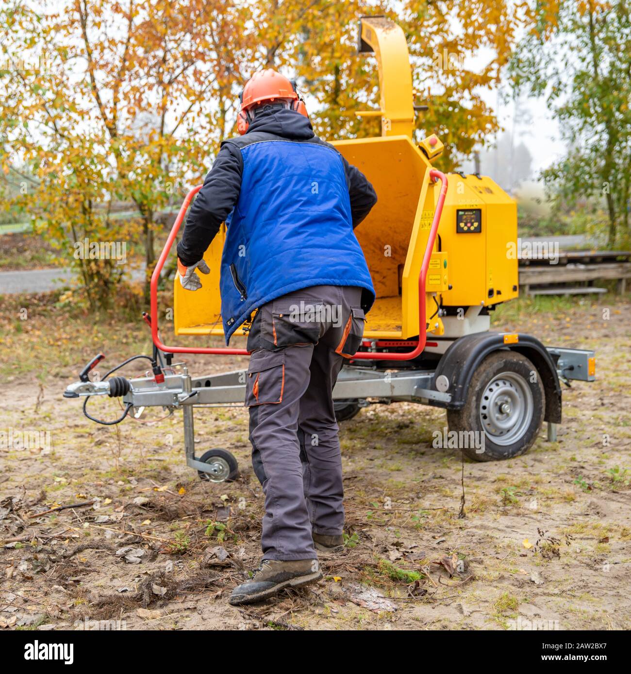 cleaning the forest and chipping branches using a special machine Stock ...
