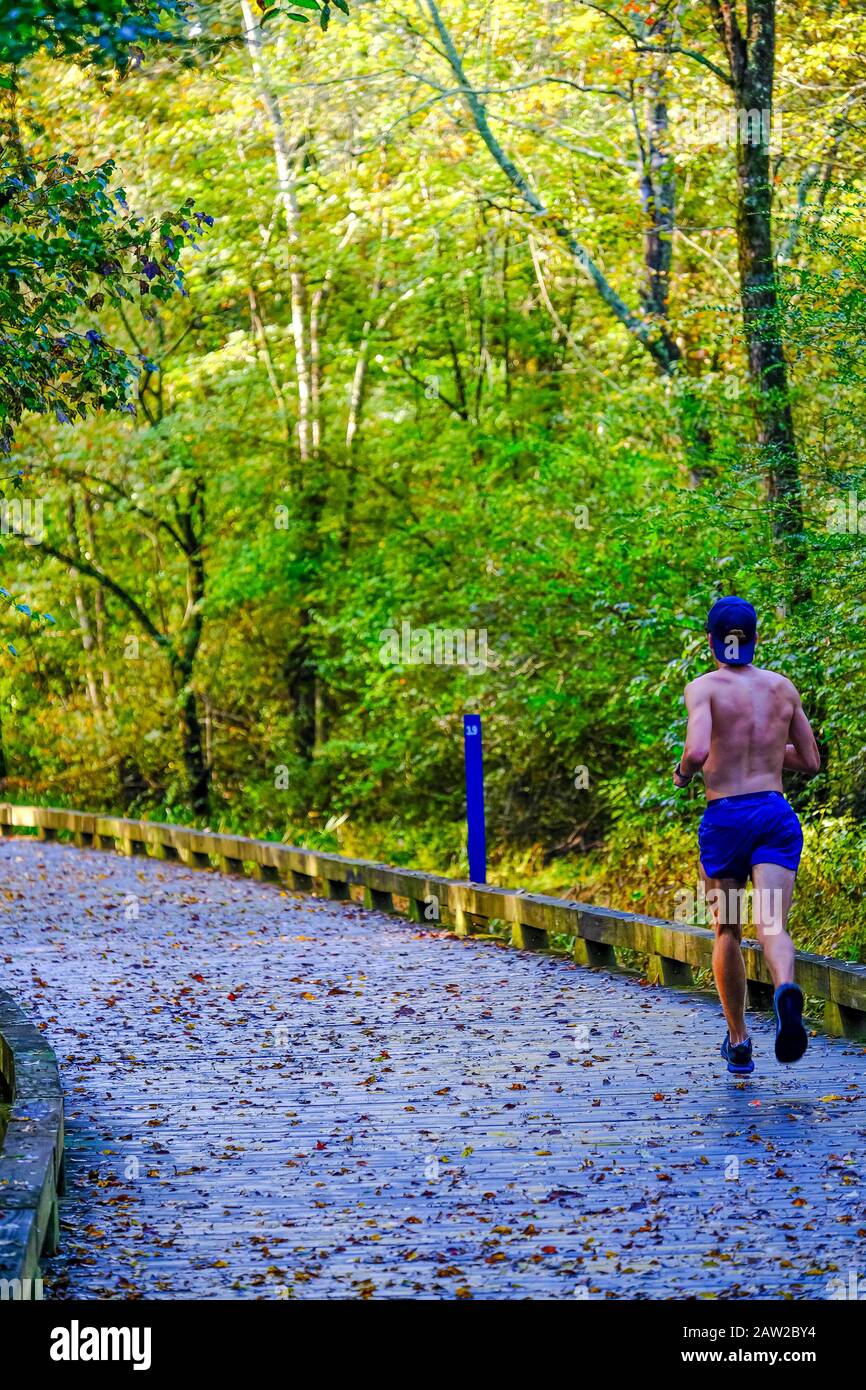 Runner on boardwalk trail hi-res stock photography and images - Alamy