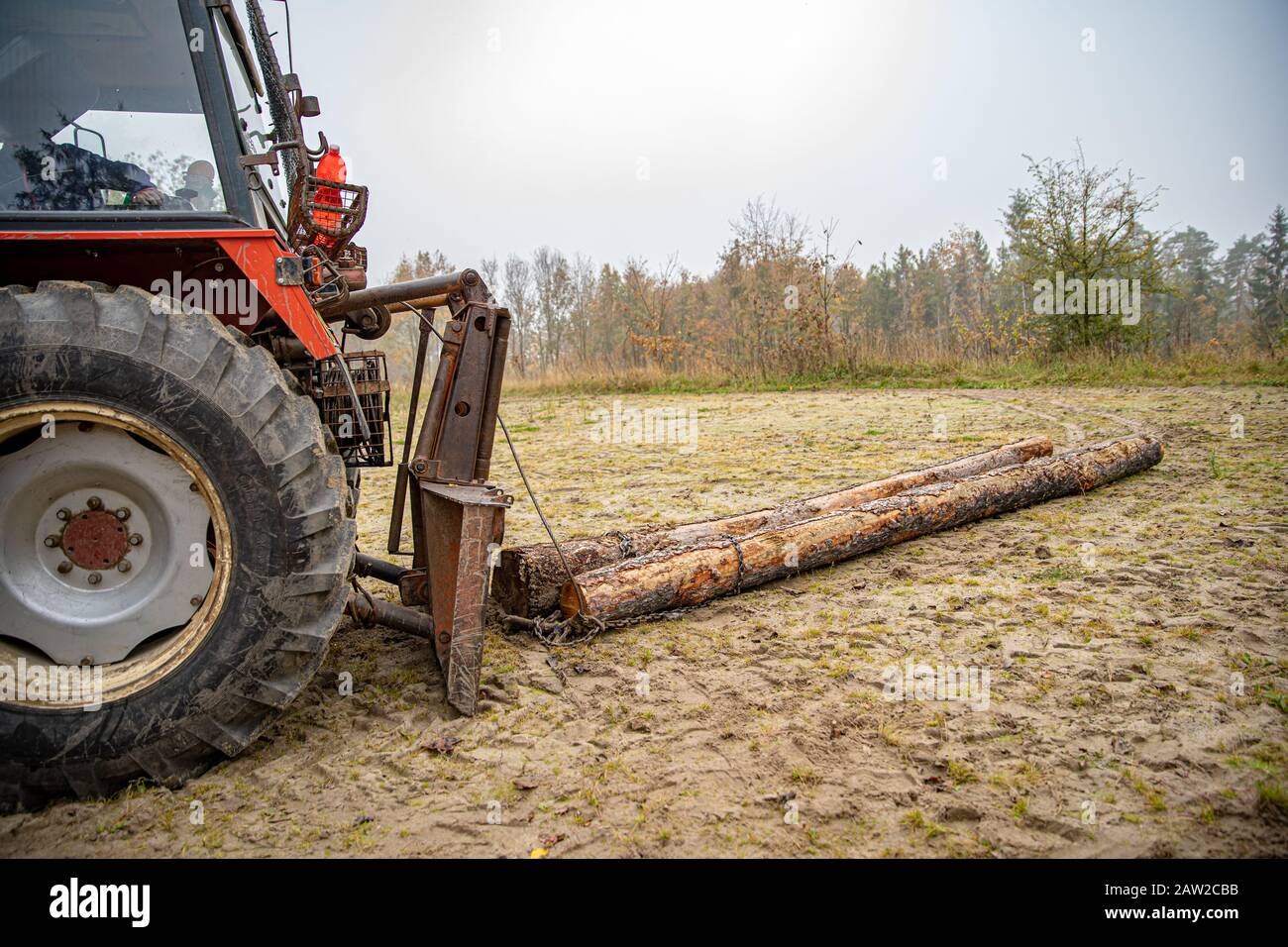 Clean the forest after bad weather with the help of the tractor Stock ...