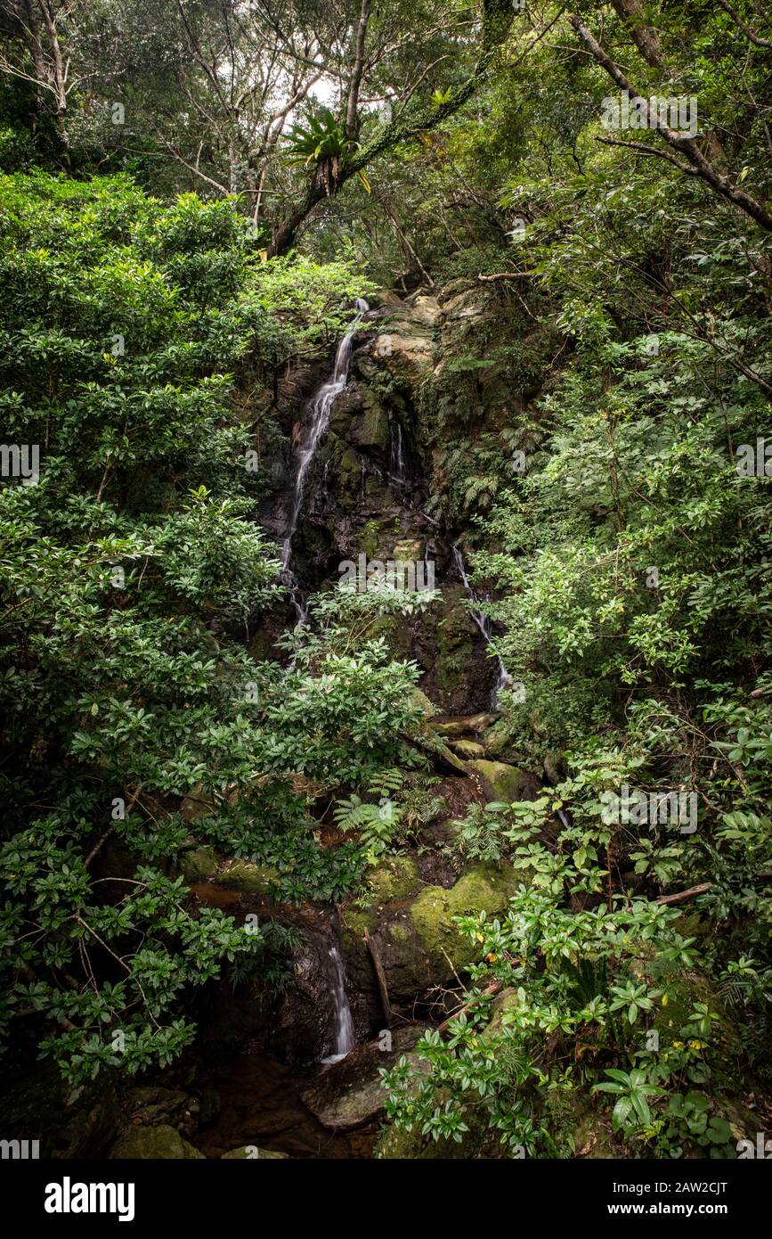 Waterfall, Aha Village, Kunigami, Yanbaru, Okinawa Stock Photo - Alamy