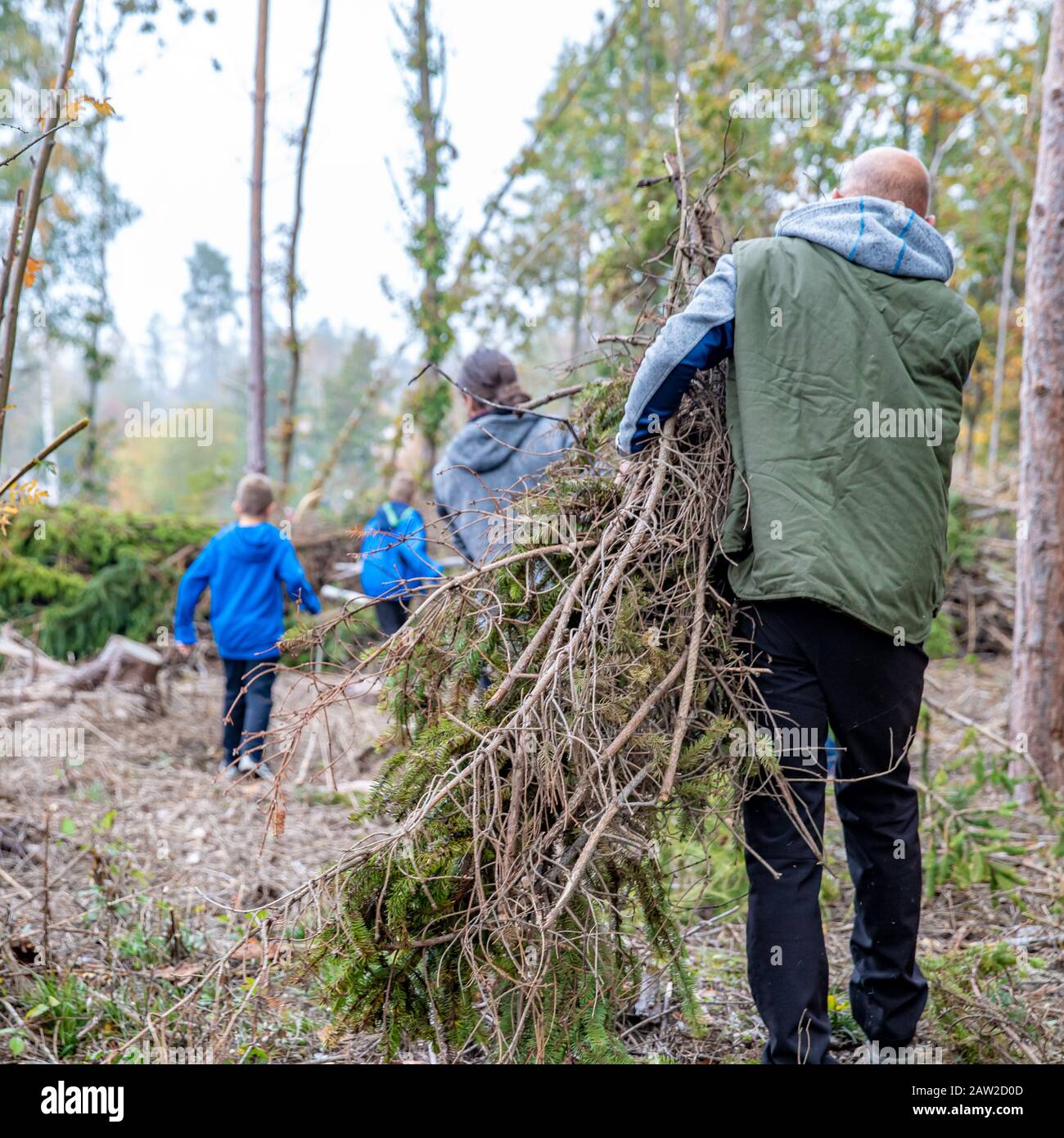 clean old tree branch in forest with volunteer help Stock Photo - Alamy
