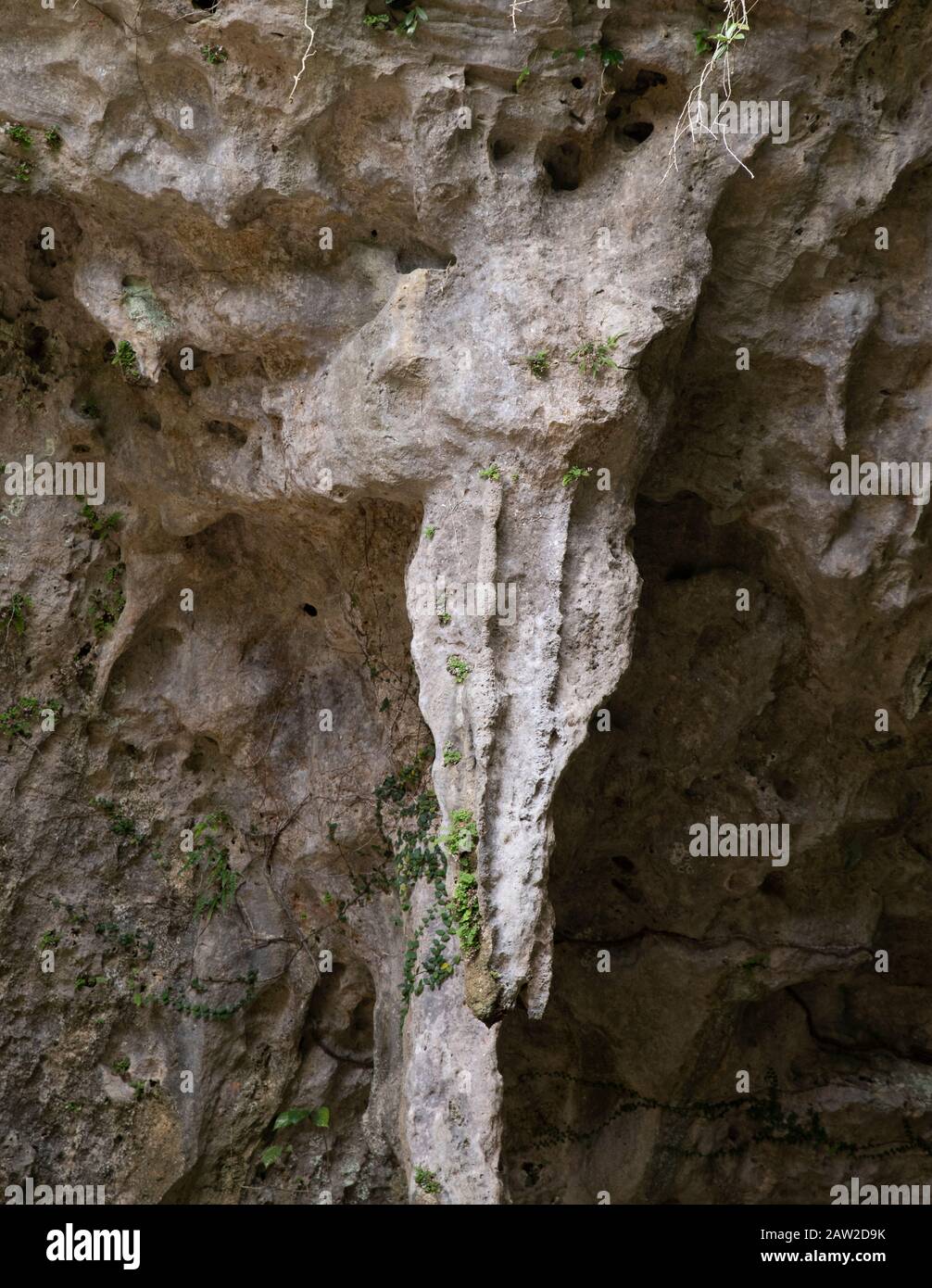 Stalactities that drip holy water into urns at Sefa-utaki, most sacred ...