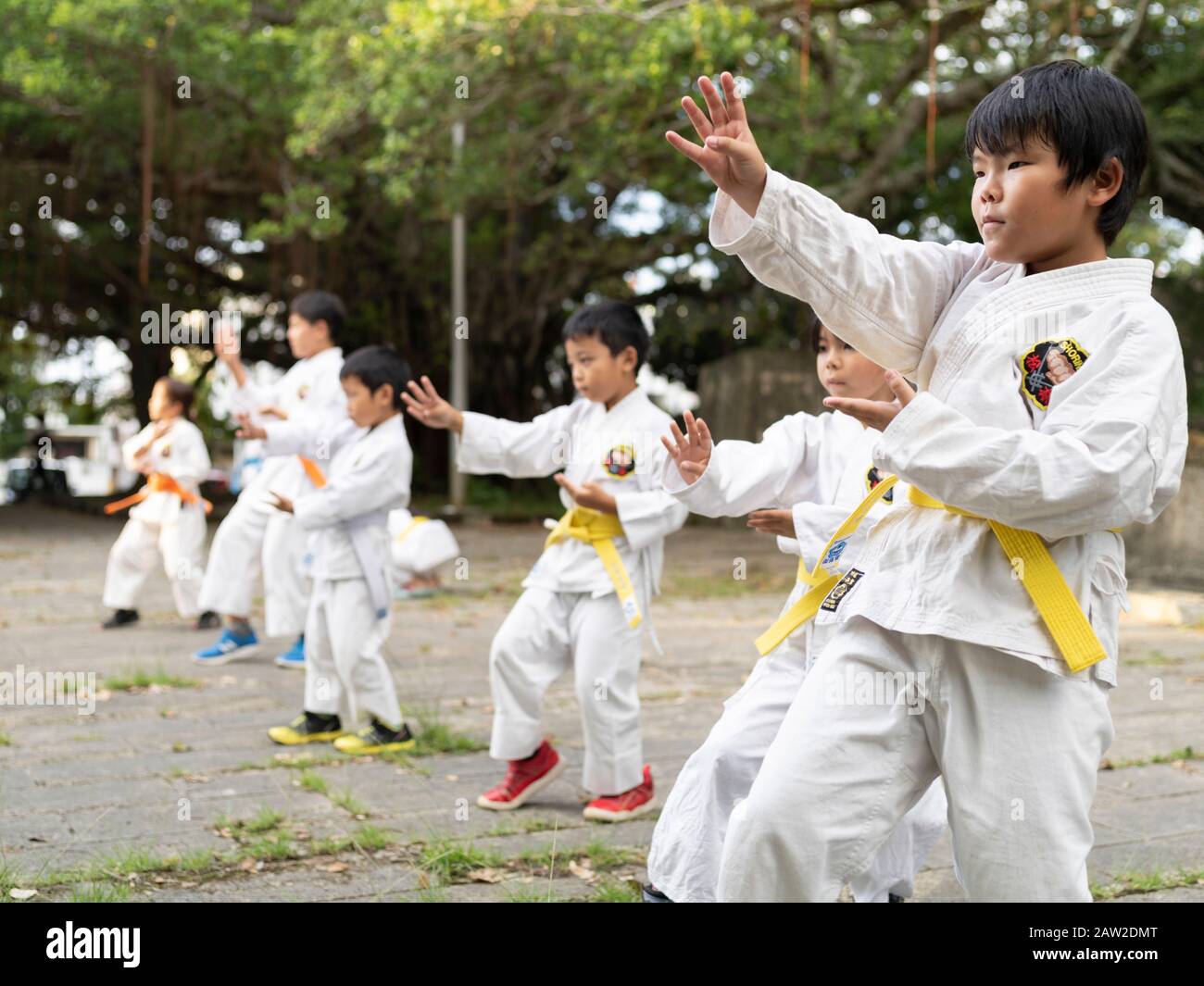 Okinawan children at 100 Kata for Karate Day 2019 Stock Photo - Alamy