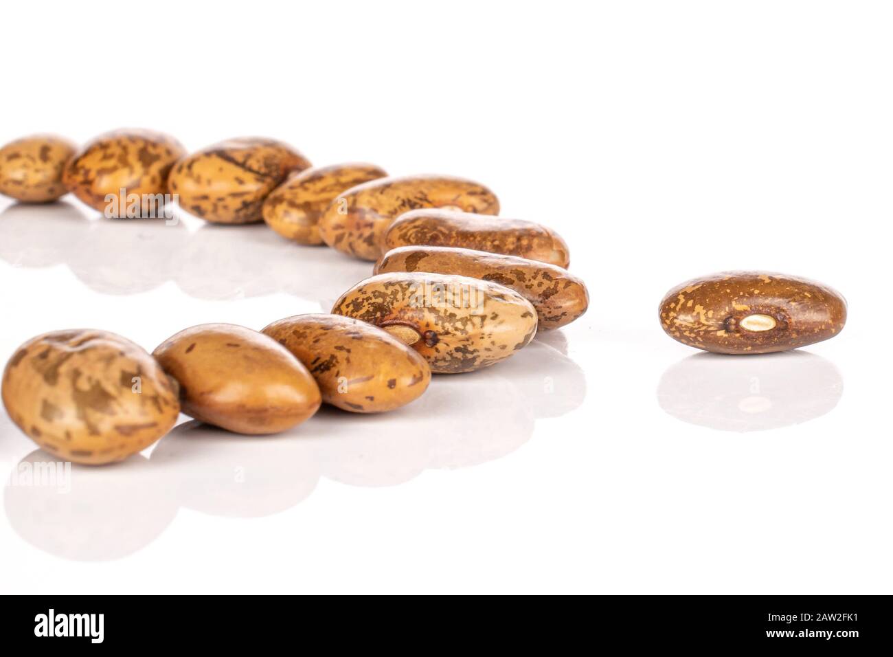 Lot of whole mottled brown bean pinto one separated isolated on white ...