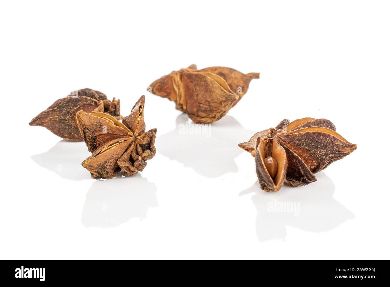 Group of four whole aromatic brown badian isolated on white background ...