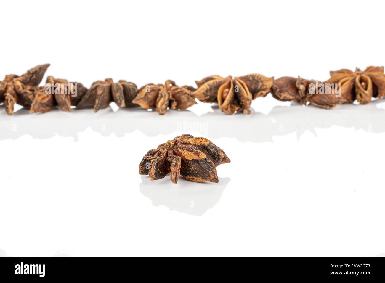 Lot of whole aromatic brown badian one in focus isolated on white ...
