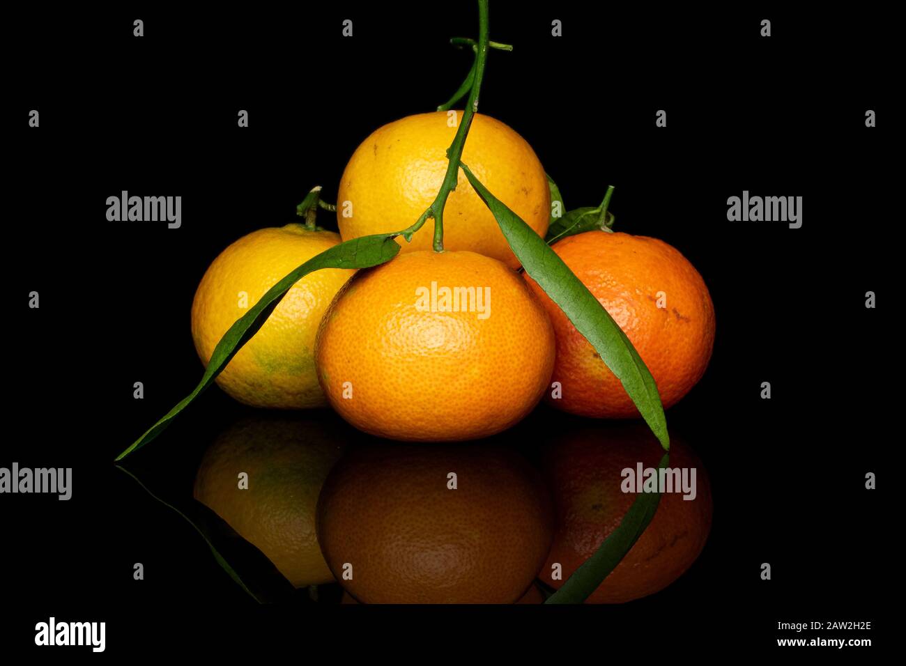 Group of four whole fresh orange mandarin stack isolated on black glass ...