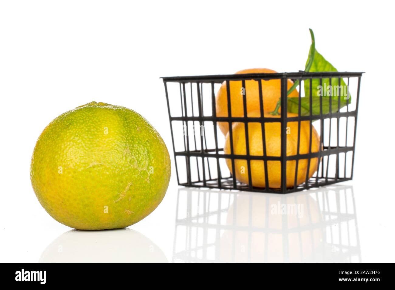 Group of three whole fresh orange mandarin in black plastic basket ...