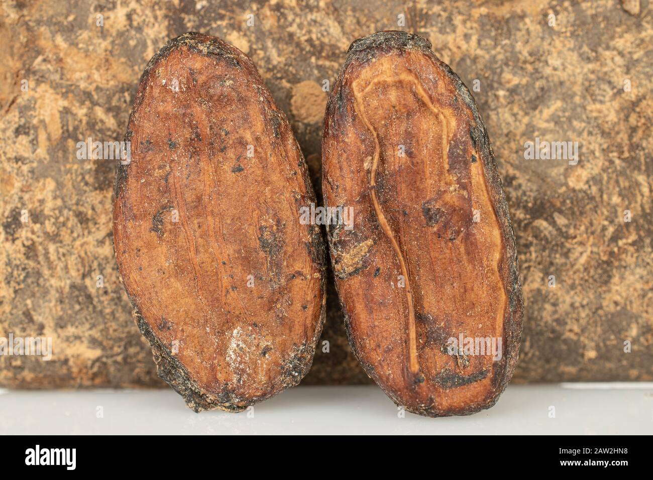 Group of two whole fresh brown cocoa bean with cocoa butter isolated on ...