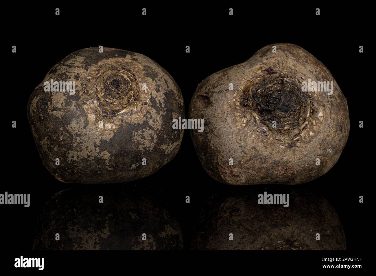 Group of two whole raw sweet beetroot isolated on black glass Stock ...