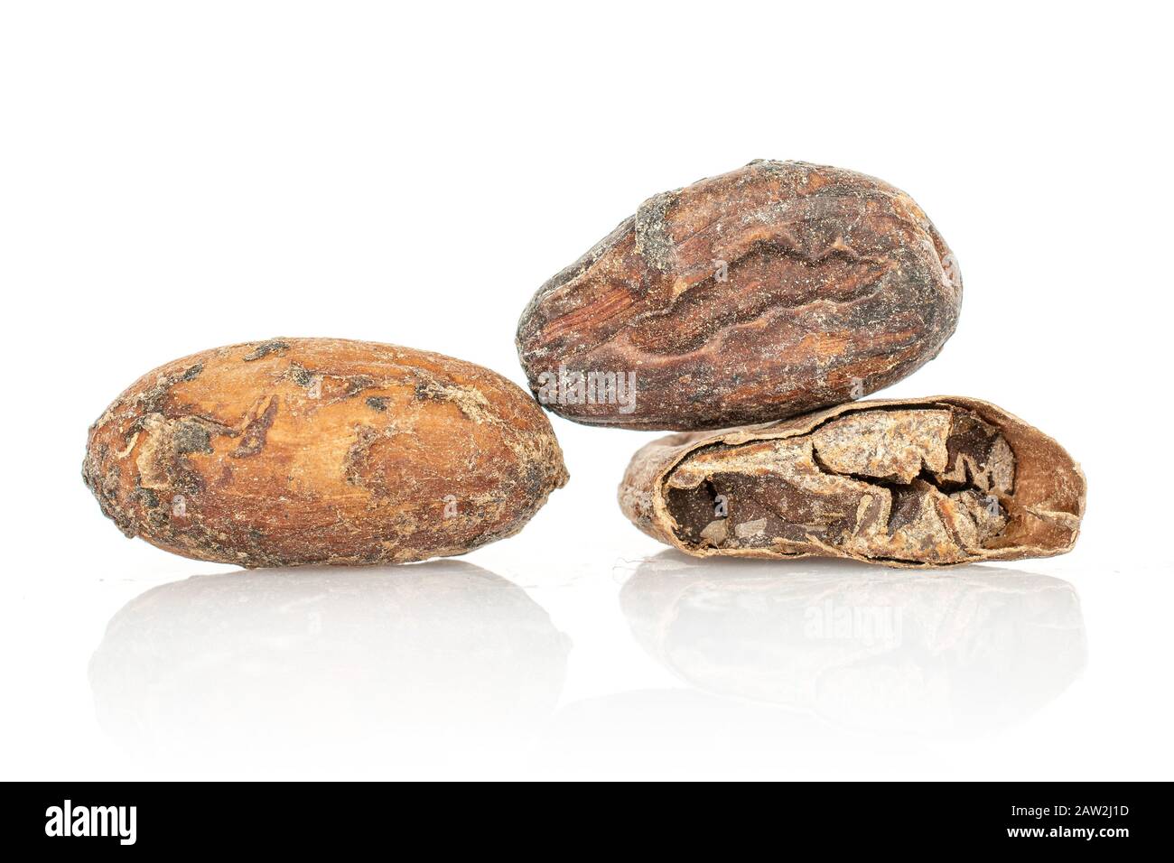Group of two whole one half of fresh brown cocoa bean isolated on white ...