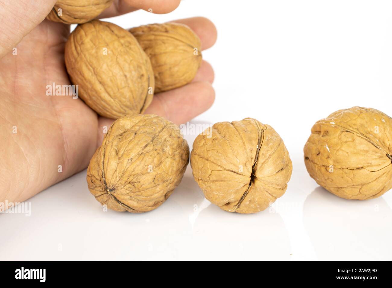 Group of six whole tasty brown walnut one in hand isolated on white ...