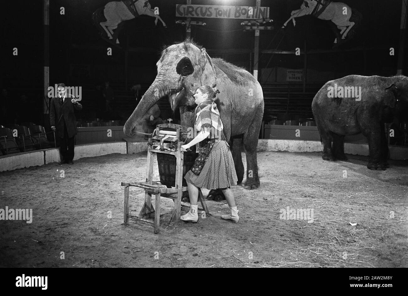Pipo in the circus when Toni Boltini Date: February 22, 1968 Keywords ...
