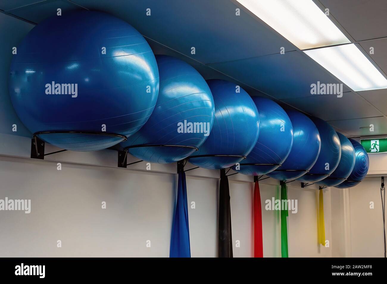 Large round blue pilates exercise balls in a row in a physiotherapist ...