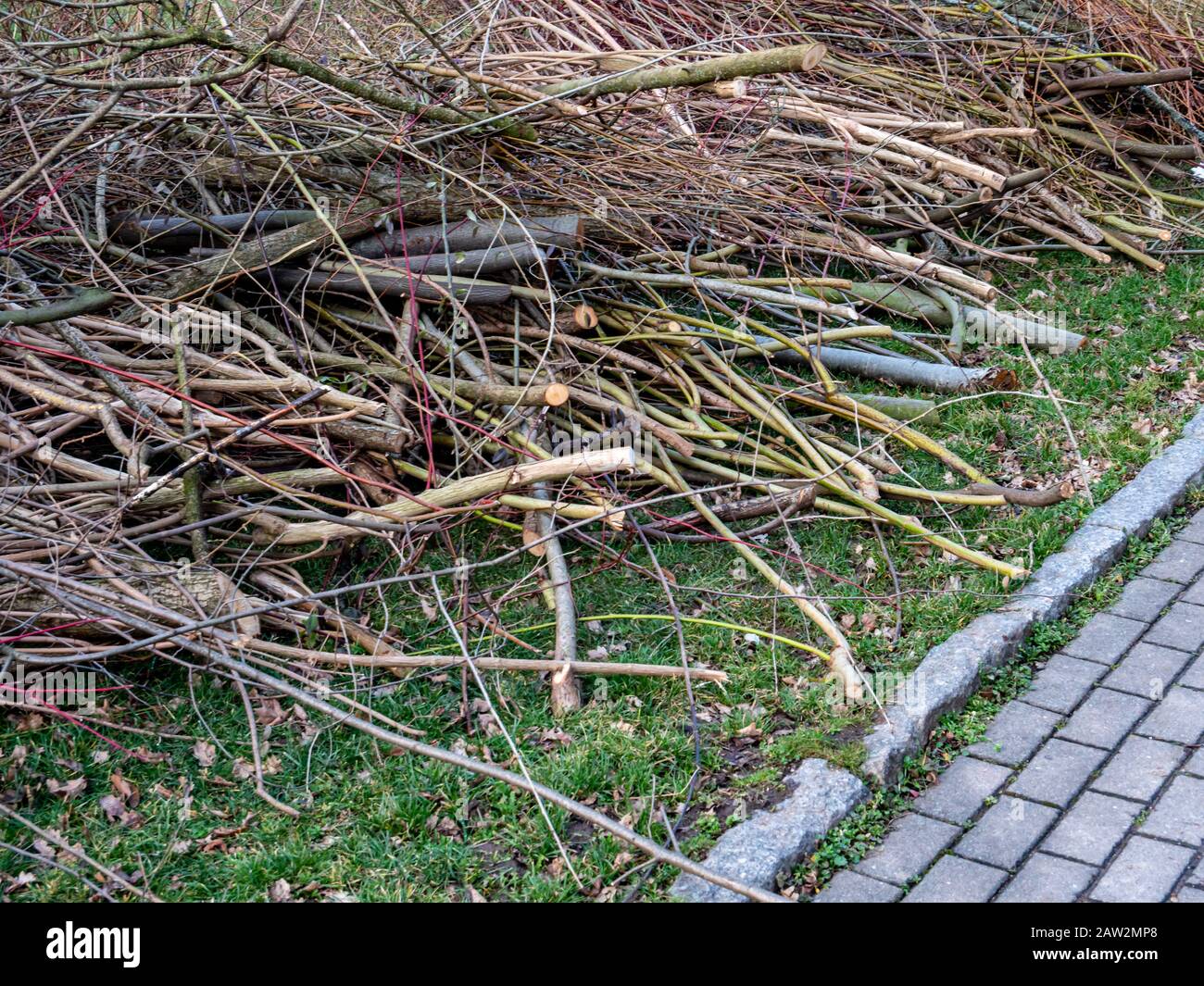 Tree hedge pruning waste hi-res stock photography and images - Alamy