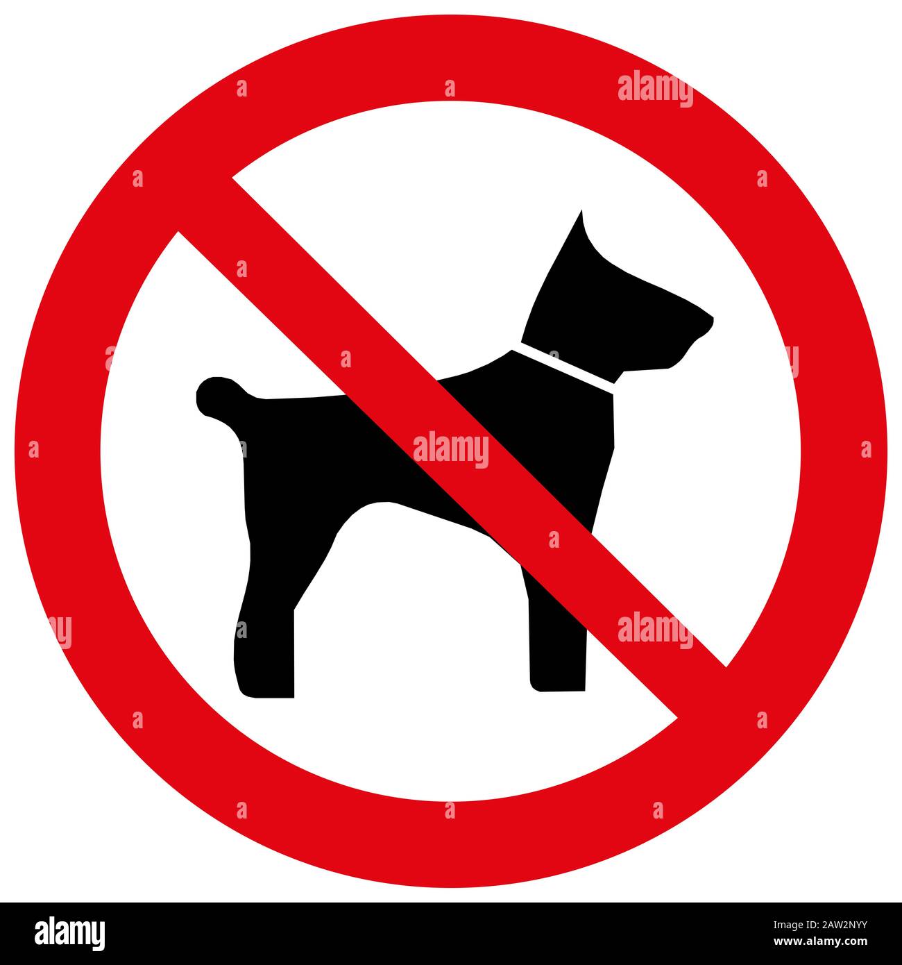 No dogs sign isolated on white background Stock Photo - Alamy