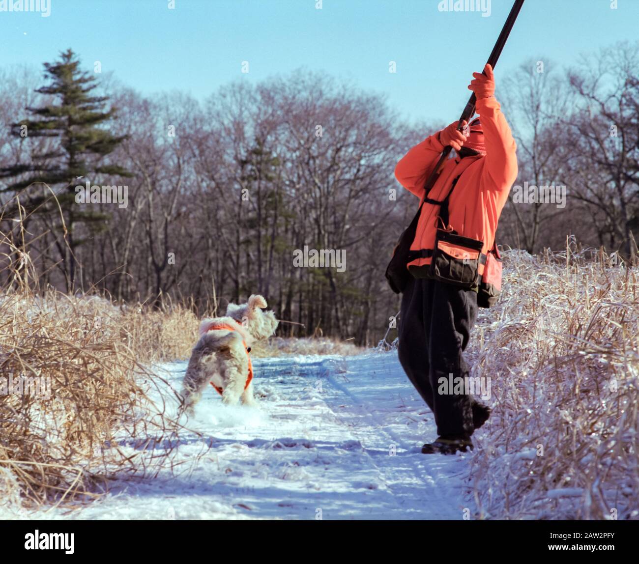 Man hunting bird hi-res stock photography and images - Alamy