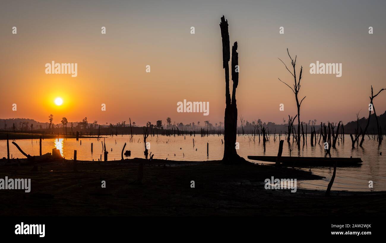 Dead trees sunset hi-res stock photography and images - Alamy